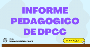 INFORME PEDAGOGICO DE DPCC | Ministerio de Educación