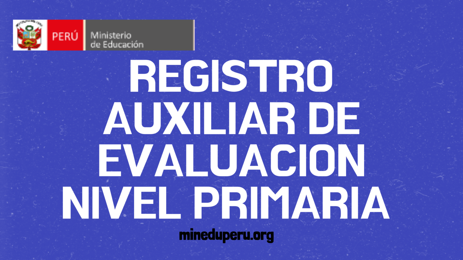 REGISTRO AUXILIAR DE EVALUACION NIVEL PRIMARIA | Ministerio de Educación
