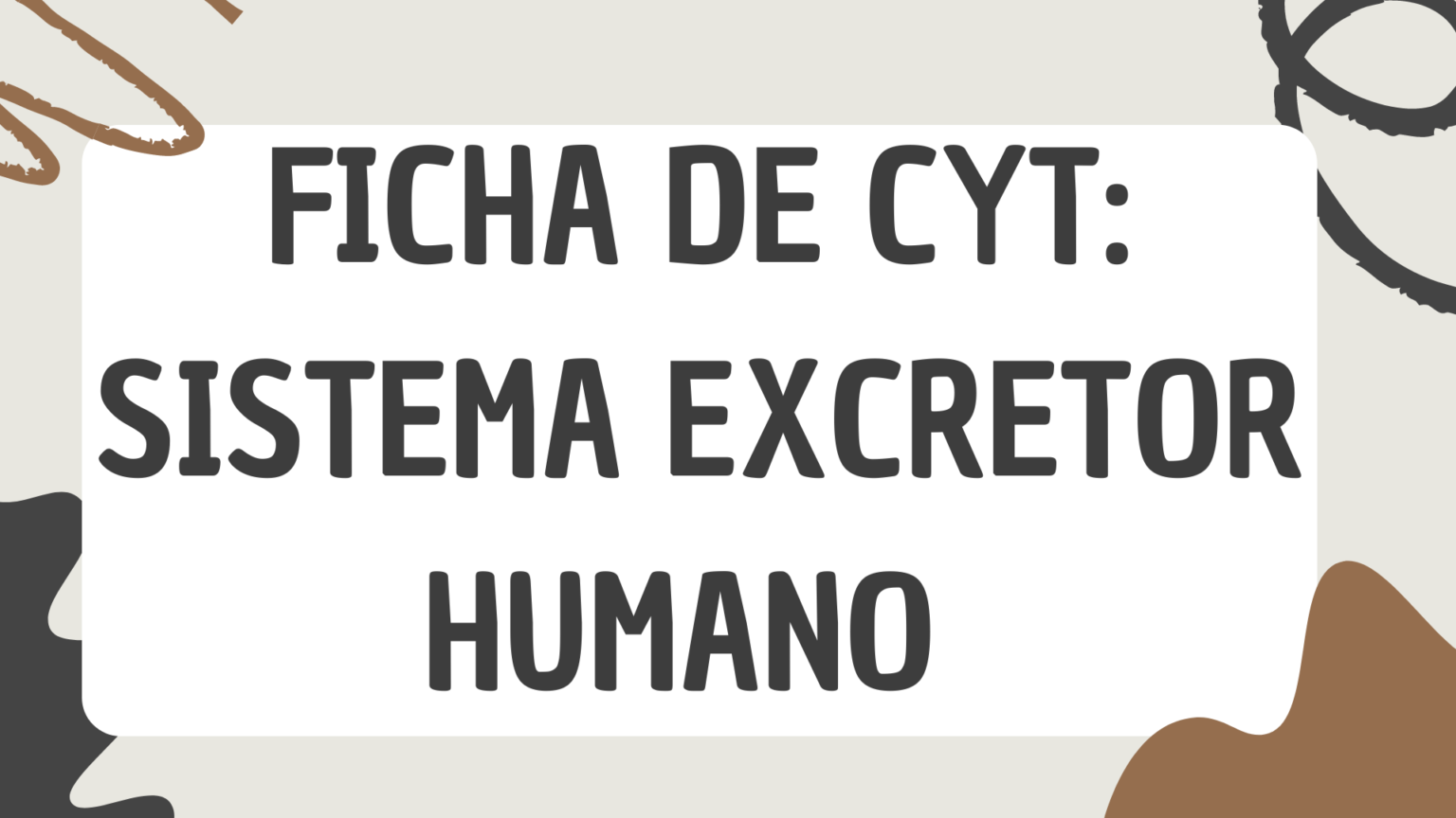 FICHA DE CYT: SISTEMA EXCRETOR HUMANO | Ministerio de Educación